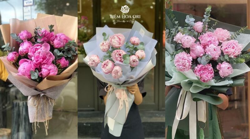 Hoa mẫu đơn (Peony): Vẻ đẹp và ý nghĩa của loài hoa cao quý